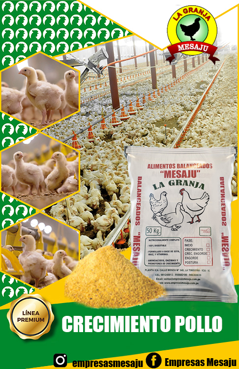 Pollo Crecimiento – Mesaju